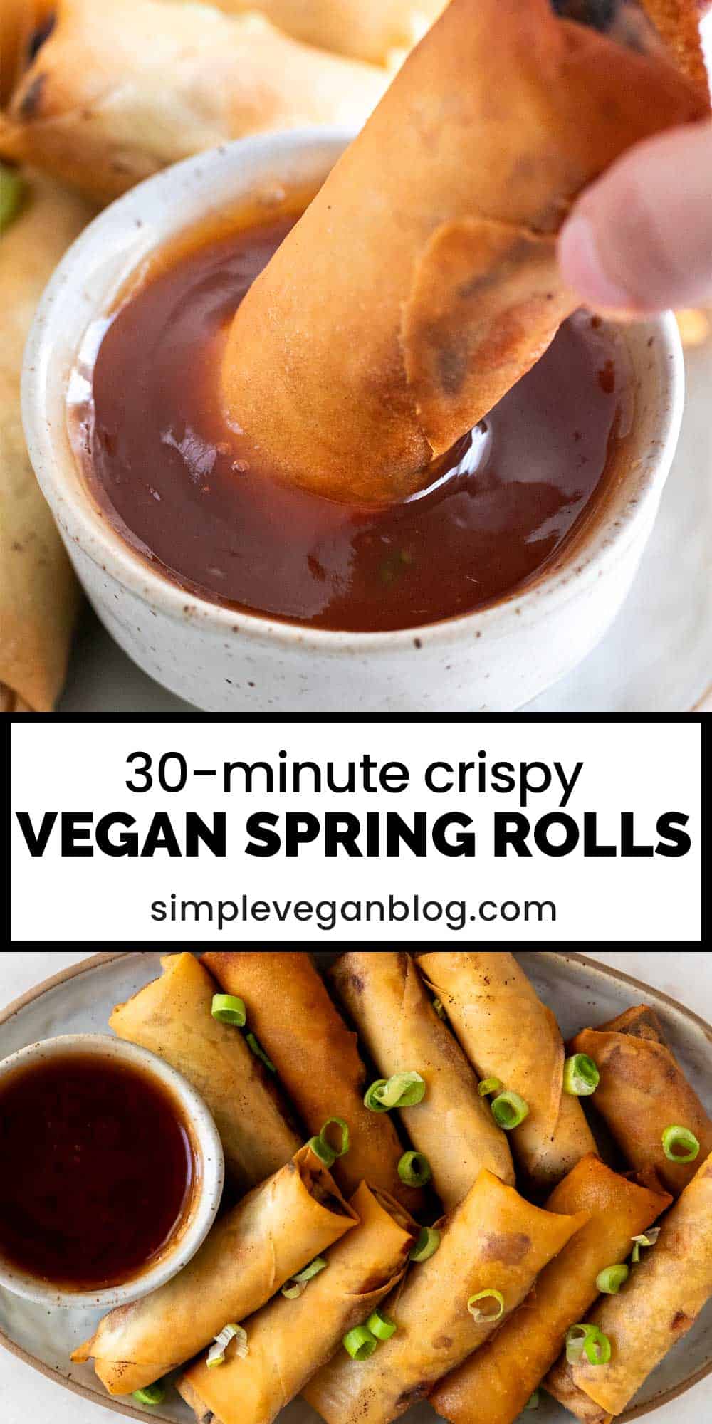 Vegan Spring Rolls | Simple Vegan Blog